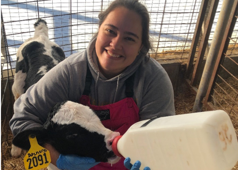 Climate change and Dairy Farming: Beating the Heat – FFAR Fellows